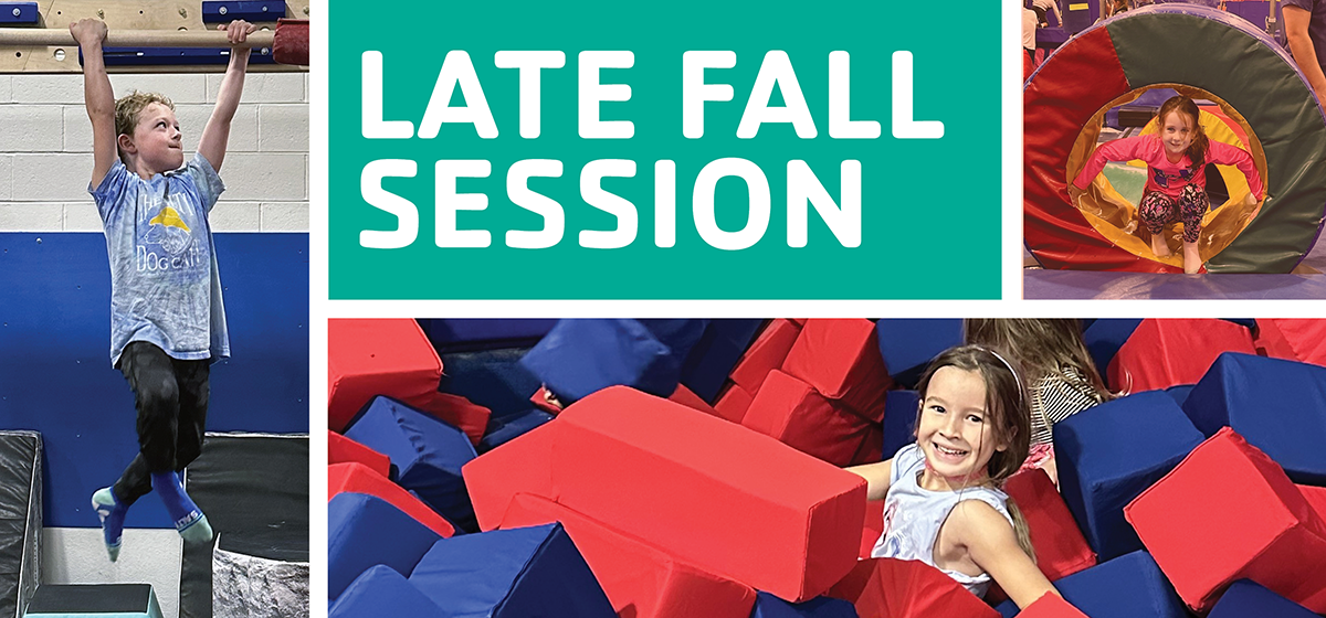 Welcome to the Madison Area YMCA